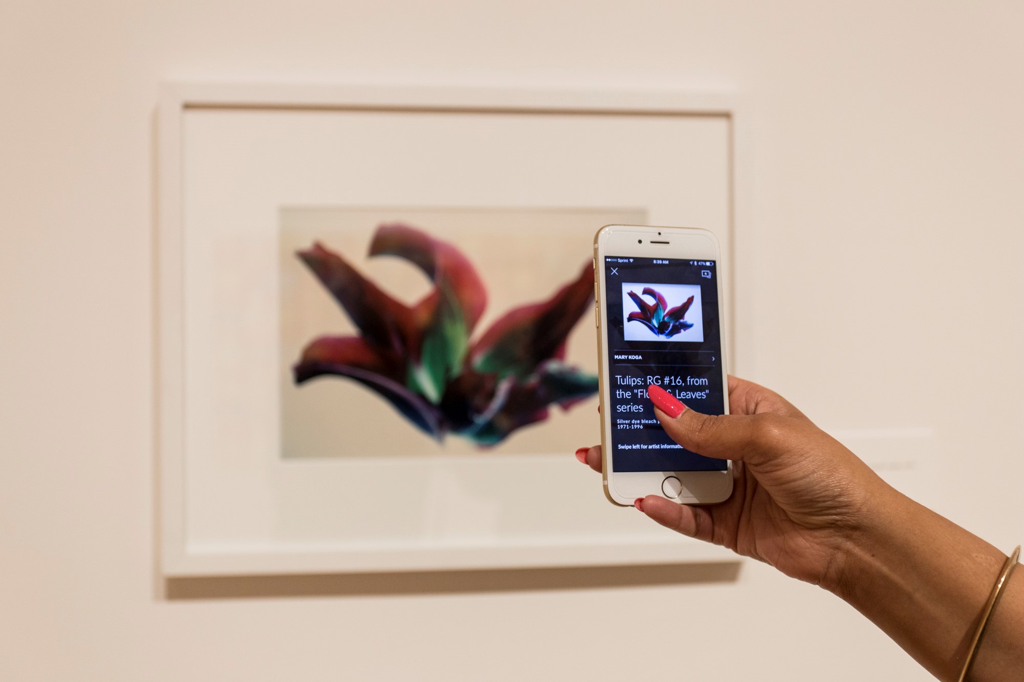 Smartify: l’app che riconosce in automatico le opere d’arte ...